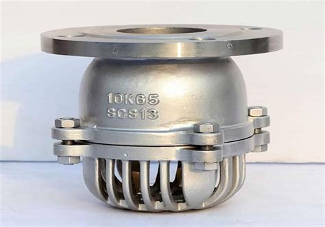 Luppe Là Gì Cấu Tạo Và Cách Phân Loại Tvt Việt Nam