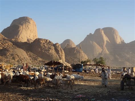 Aac Publications Jebel Kassala The Rüppell Face