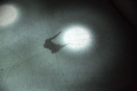 Augmented Shadow Joon Moon 문준용 Portfolio