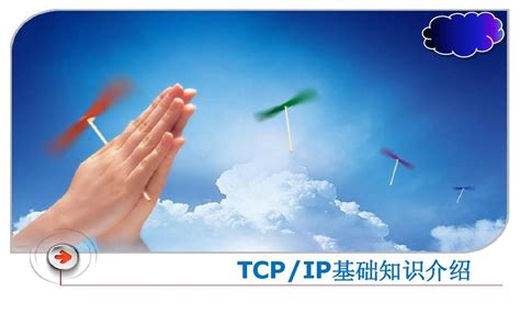 Tcp Ip基础知识new Word文档在线阅读与下载 无忧文档