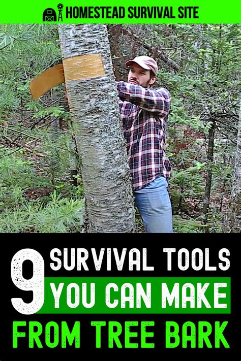 Survival Tools You Can Make From Tree Bark