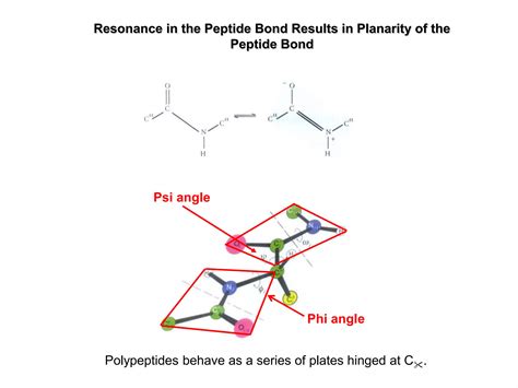 Protein Structure Ppt Chemistry Science