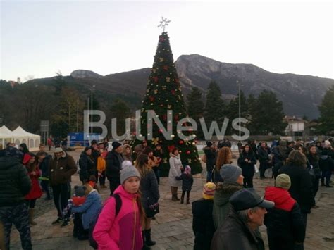 Гледайте на живо Палят светлините на коледната елха във Враца снимки и видео