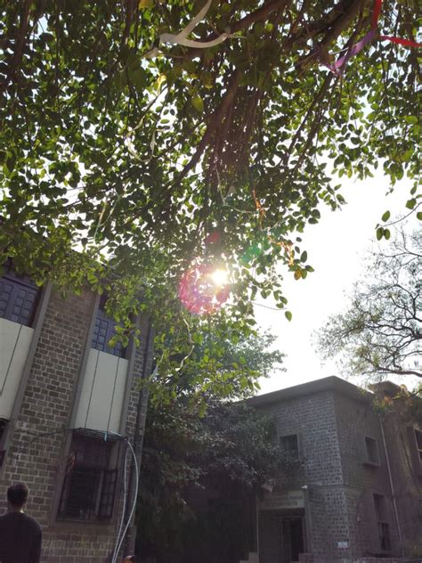 Srushti Sakhare On Linkedin As We Step Into The Of A New Year I Wanted To Take A Moment To