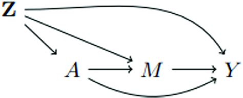 Mediation With A Single Mediator M Exposure A Outcome Y And
