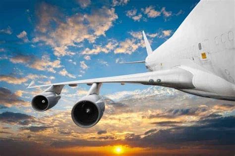 Airbus And The Realization Of Bionic Design Do It Easy With Scienceprog