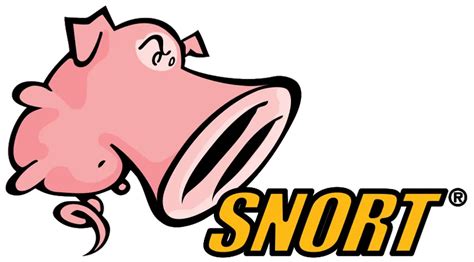 Snort Ids Lab Real Time Intrusion Detection In A Vulnerable Network By Kush Borikar Medium