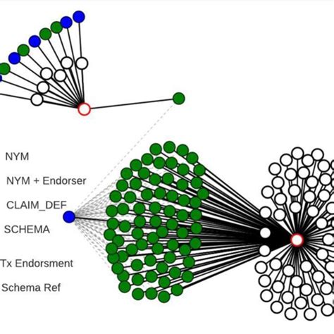 Visualisation Of Transaction Endorsement For The Same Transactions