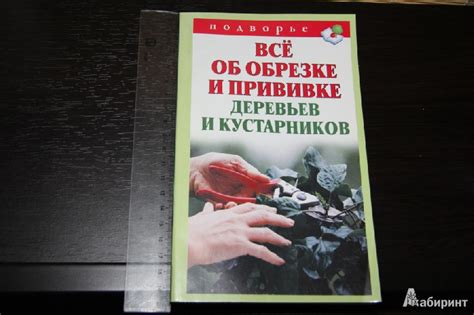 Книга: Все об обрезке и прививке деревьев и кустарников - Виктор ...