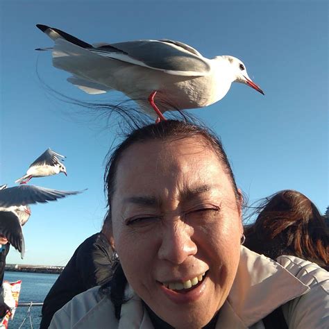 Moe Sakura 夕べは深夜にnhkで放送されていた歴代の総理の妻のインタビュー番組を、娘も熱心に観ていた。娘 Facebook