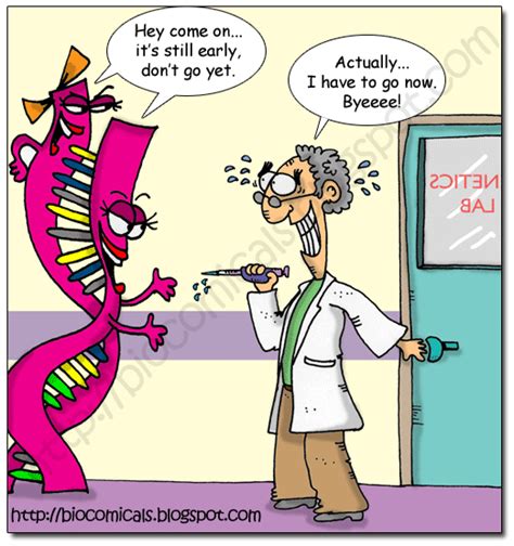 Dna Sequencing Cartoon