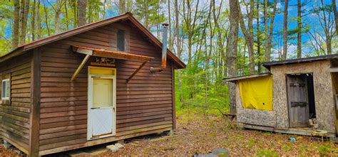 Tall Timber Forest 105 Acres Foxfire Realty
