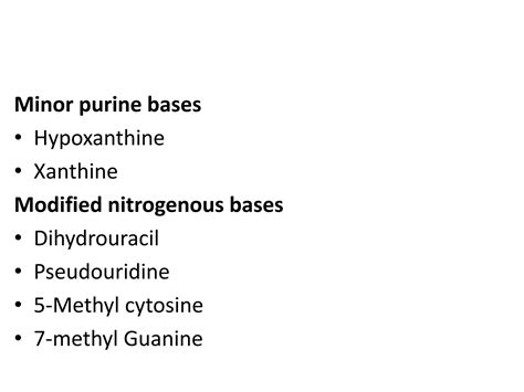 Nucleotide Metabolism Mbbs Part I 23 24 Pptx