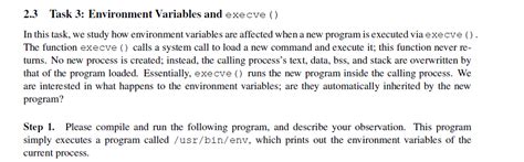 Solved Task Environment Variables And Execve In Chegg