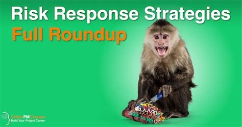 Risk Response Strategies Full Roundup Onlinepmcourses