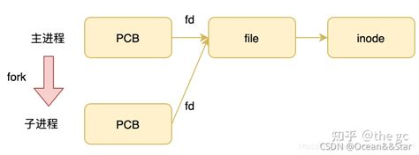 Cc编程：通过unix域套接字在进程之间传递文件描述符c传递文件描述 Csdn博客
