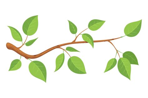 Clipart Tree With Branches And Leaves