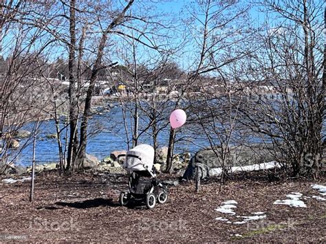 봄 풍경 화창한 날에 벌거벗은 나무와 밝은 푸른 하늘을 배경으로 발트해 연안에 분홍색 풍선이 달린 유모차 유모차에 대한 스톡 사진 및 기타 이미지 Istock