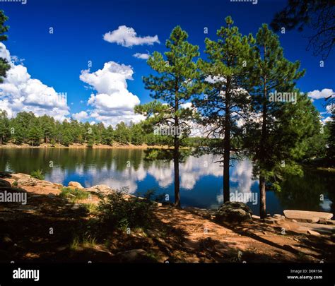 Woods Canyon Lake On The Mogollon Rim Apache Sitgreaves National
