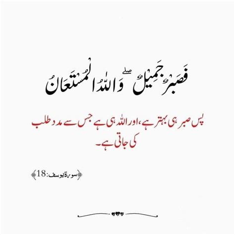 Syed Ali Jibran Shah On Linkedin In Sha Allah