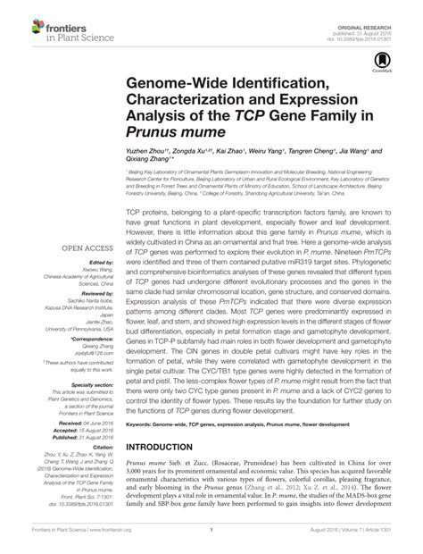 Pdf Genome Wide Identification Characterization And Expression