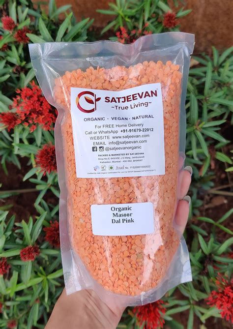 Organic Masoor Dal Pink 500g Satjeevan Organic