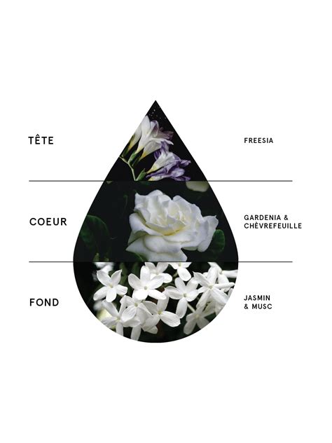 Perfume Fleur Made In Canada Ruby Brown Ruby Brown