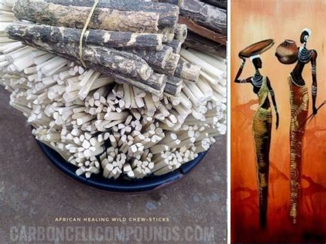 DENTAL CHEWING STICK Country Origin Nigeria Etsy