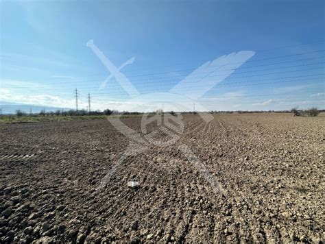 Продажба на Земеделска земя в гр Пловдив Обяви на изгодни цени