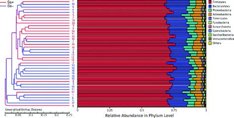 clustering using the unweighted pair group method with arithmetic mean