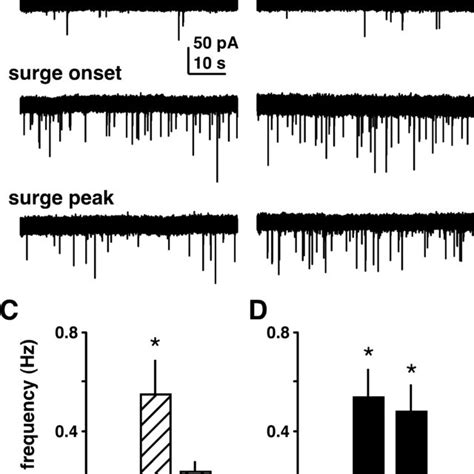 Gaba Transmission To Gnrh Neurons Increases During The Gnrhlh Surge In