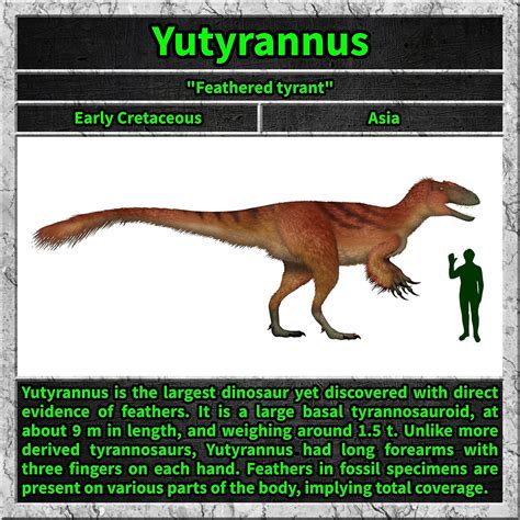 Sinotyrannus