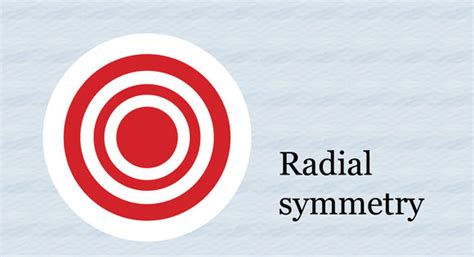 Perfectly Paired Using Symmetry In Web Design Codrops