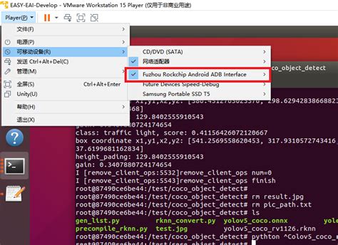 yolov 训练部署全链路教程 知乎