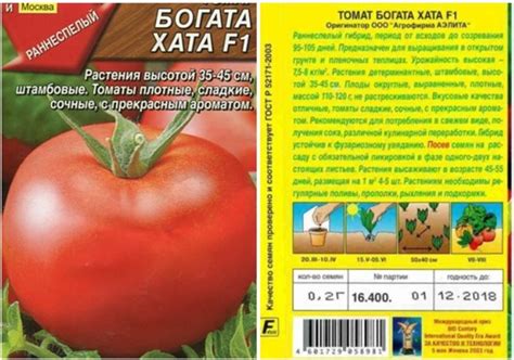 Томат Пузата Хата Фото Урожайность Характеристика – Telegraph