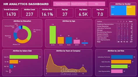Ibm Hr Analytics Employee Dashboard مستقل