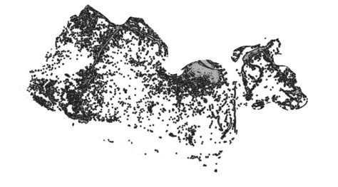 Syed Riad Morshed On Linkedin Mapping Spatialdatascience