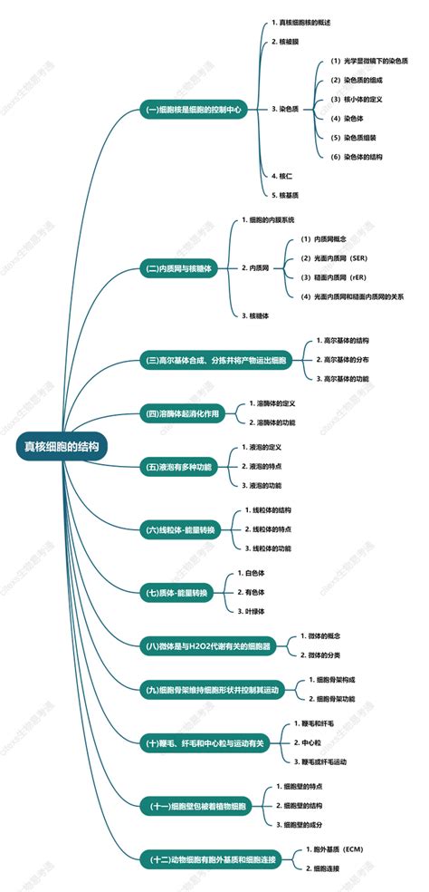 普通生物学高频考点（五）之真核细胞的结构内容及思维导图 知乎