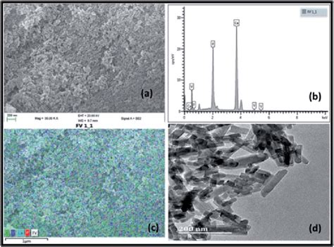 A Sem Micrograph B Edx Spectrum C Sem Mapping And D Download Scientific Diagram