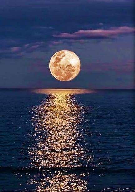 Noite Boa Noite Nigth Ponds Moon Images Image Nature