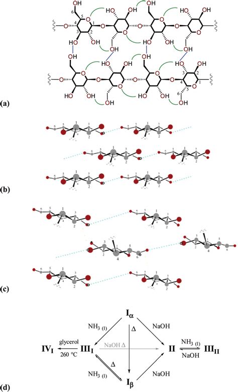 A Diagram Highlighting The Network Of Intramolecular Green And