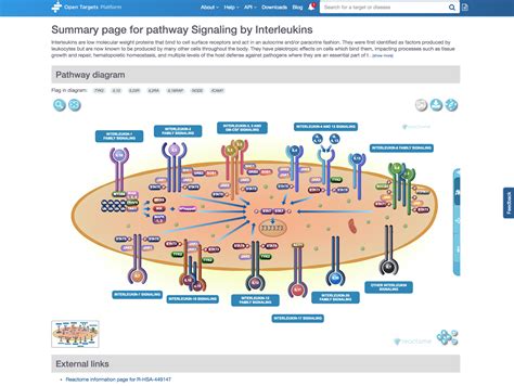 Reactome Enhanced Pathway Visualisations