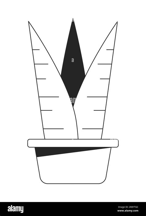 Potted Houseplant With Long Lance Shaped Leaves Flat Monochrome Isolated Vector Object Stock