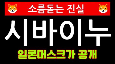 시바이누 일론머스크 고맙다시바이누전망 시바이누코인 Youtube