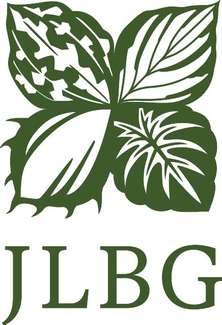 Impatiens Archives Juniper Level Botanic Garden