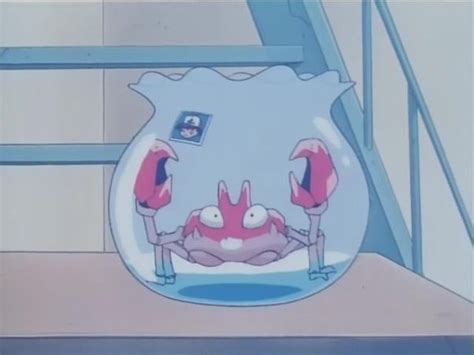 What Might Happen If Ash Got An Eevee Quora