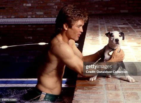 2 605 Andrew Stevens Photos And High Res Pictures Getty Images