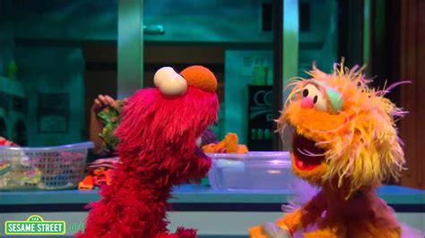 Everyone Is Reveling In Elmos Rocco Hate The Mary Sue