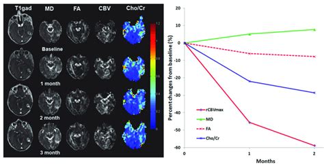 Representative Baseline And Follow Up Anatomical Images And Parametric