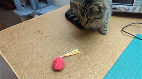 Play Testing Modified Smartykat Toy Youtube